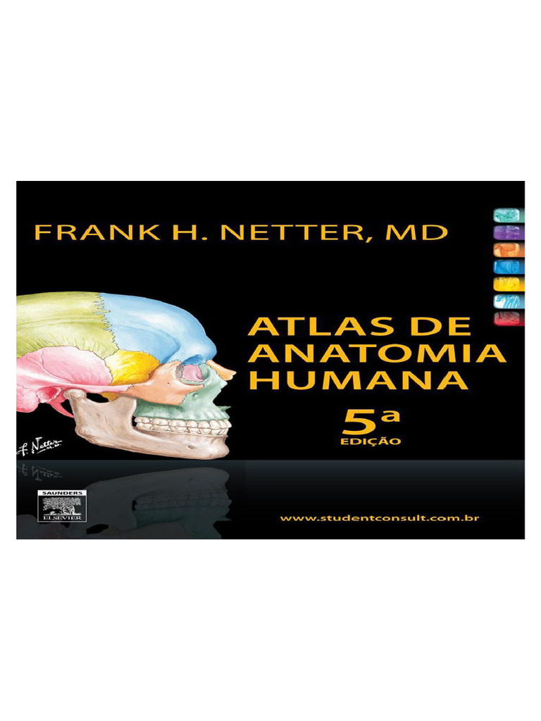 Netter's Anatomy Atlas | PDF