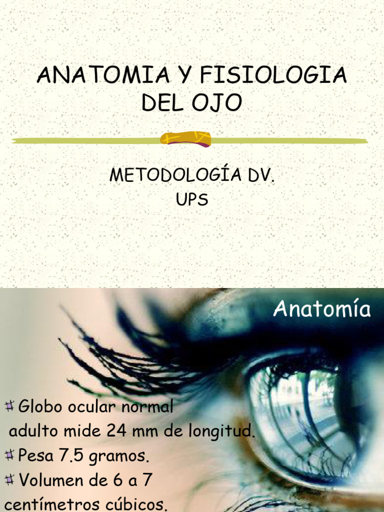 Primer Tema ANATOMIA Y FISIOLOGIA | PDF | Ojo humano | Ojo