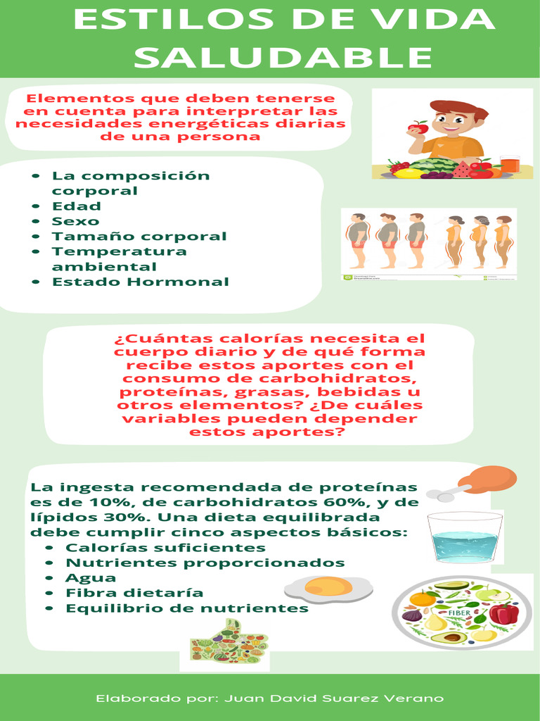 Infografia Estilos de Vida Saludable | PDF