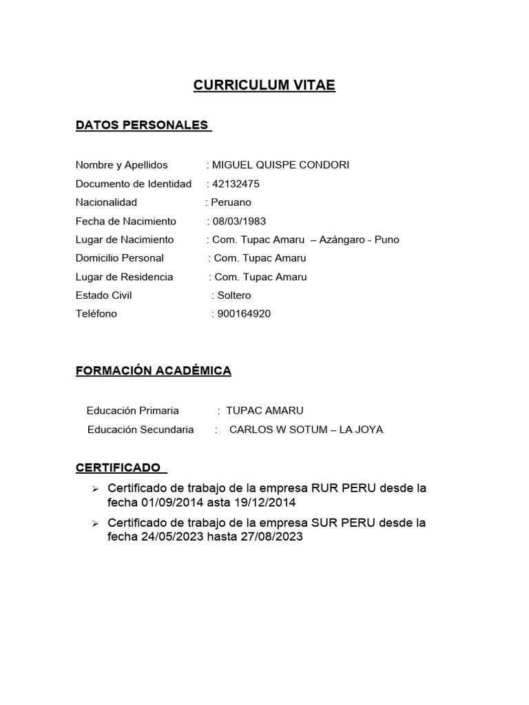 Curriculum Vitae Miguel | PDF
