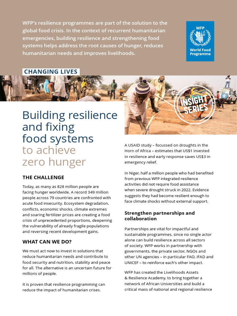 Building Resilience and Food Systems | PDF | World Food Programme ...