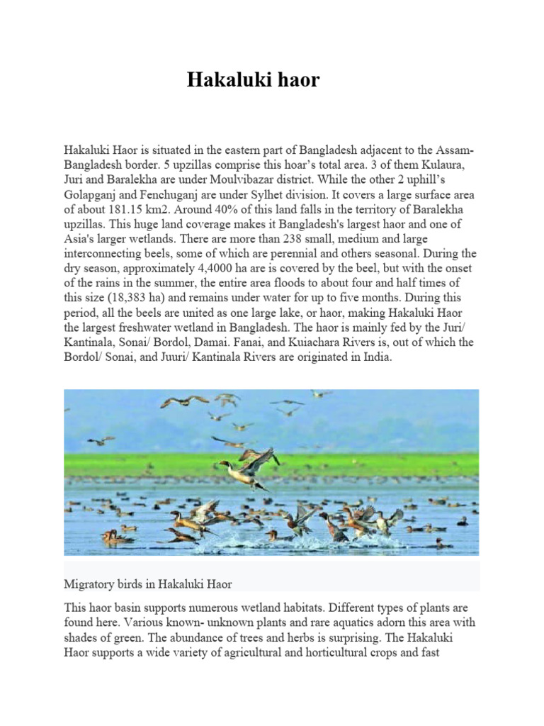 Hakaluki Haor Assingment | PDF | Tourism | Market Segmentation