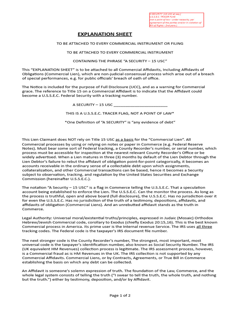 Explanation-Sheet-Tracer-Flag-1 | PDF | Affidavit | Internal Revenue ...