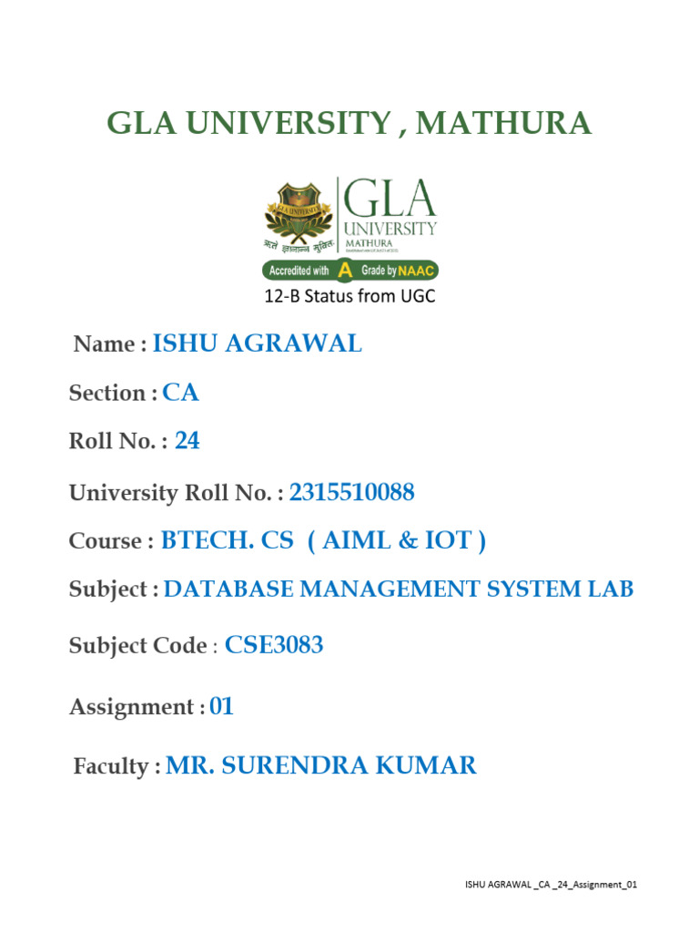Assignment 01 Database | Download Free PDF | Databases | Data Management