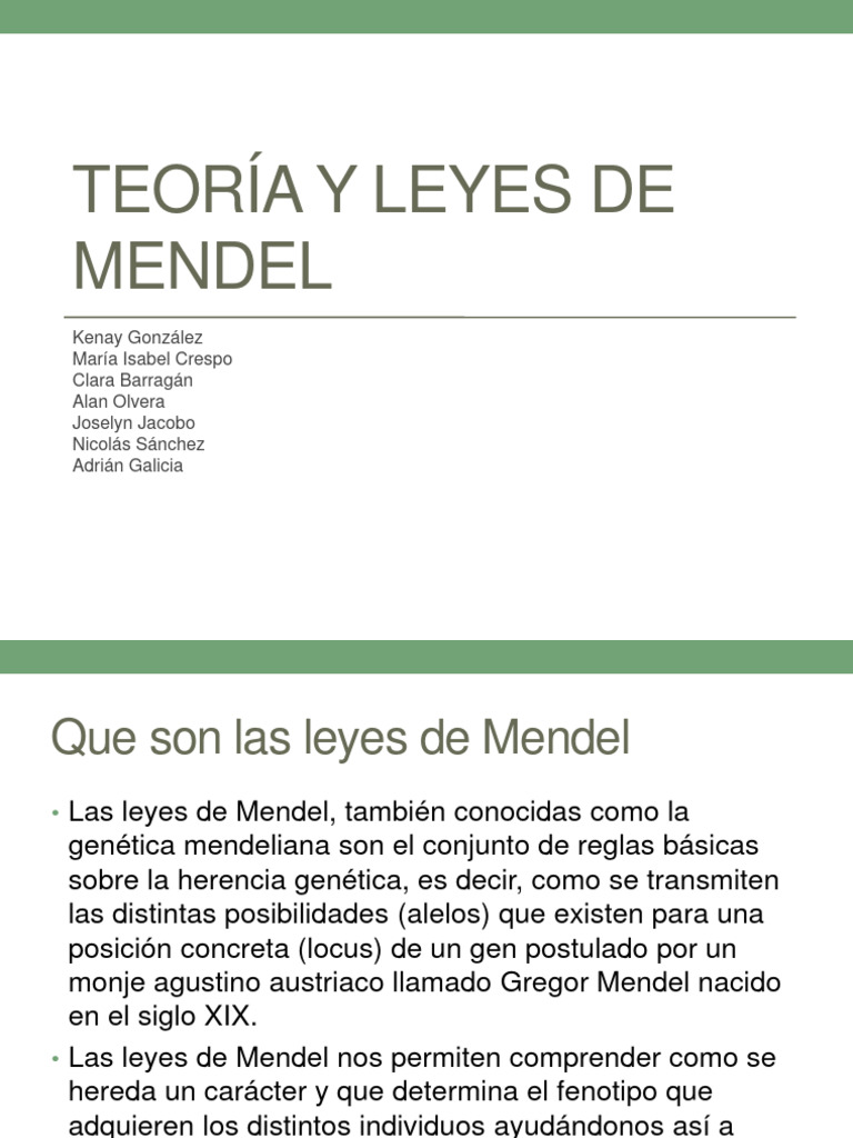 Teoría y Leyes de Mendel | PDF | Dominancia (Genética) | Alelo