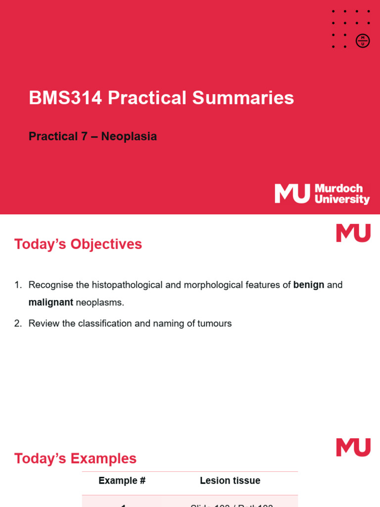Prac7 Summary | PDF | Epithelium | Neoplasms