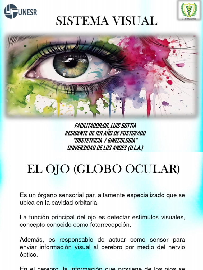 Estructura y Función del Ojo Humano | PDF | Ojo humano | Percepción visual