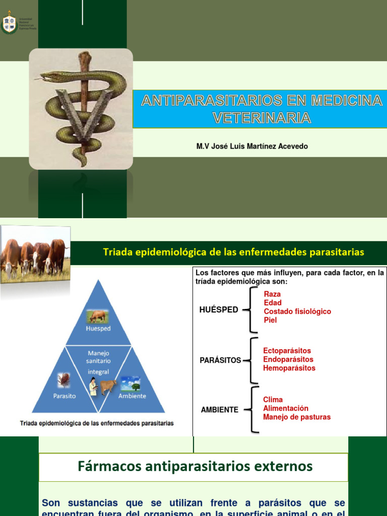 Antiparasitarios en MV | PDF | Parasitismo