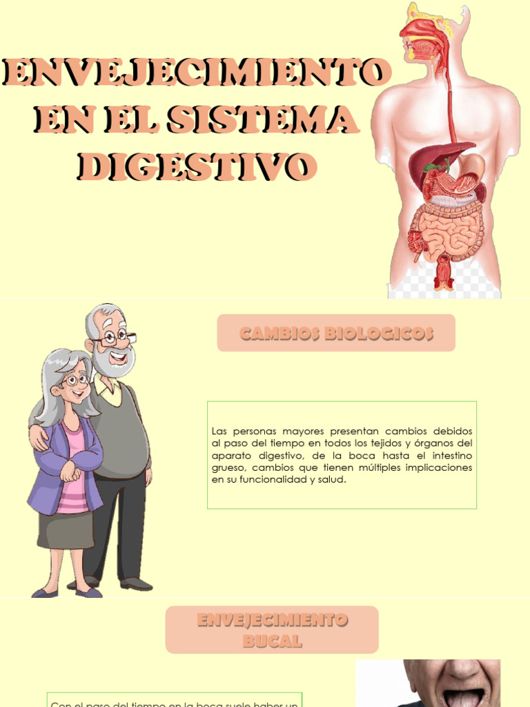 Expo Clau | PDF | Bilis | Sistema digestivo humano