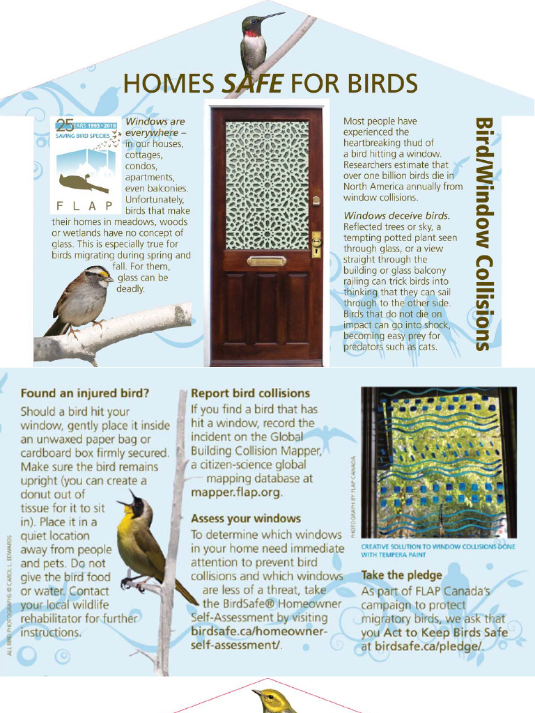 Homes Safe For Birds English | PDF