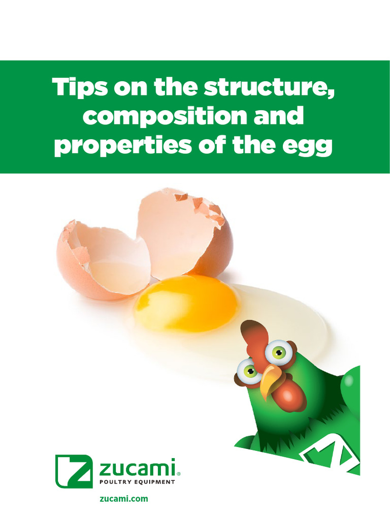 Tips On The Structure Composition and Properties of The Egg Zucami ...