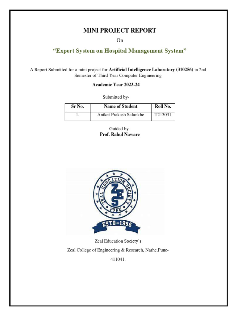 AI Mini Project | PDF | Health Care | Expert