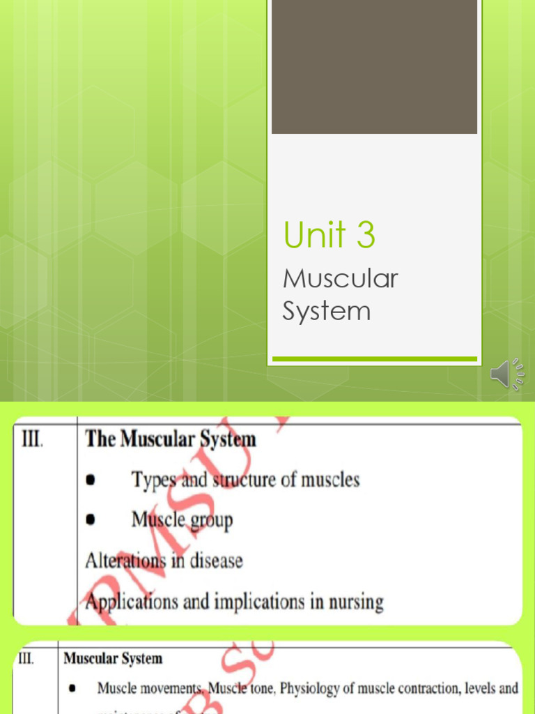 Muscular System | PDF | Muscle | Human Anatomy