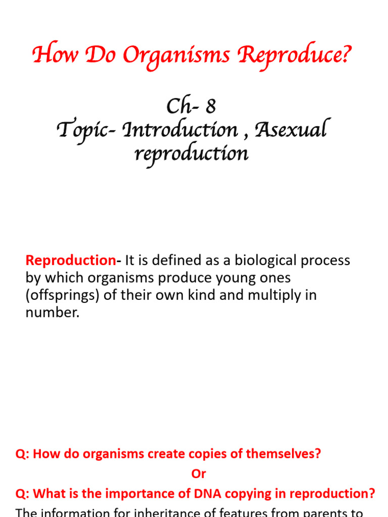 Asexual Repro Notes | PDF | Reproduction | Sexual Reproduction