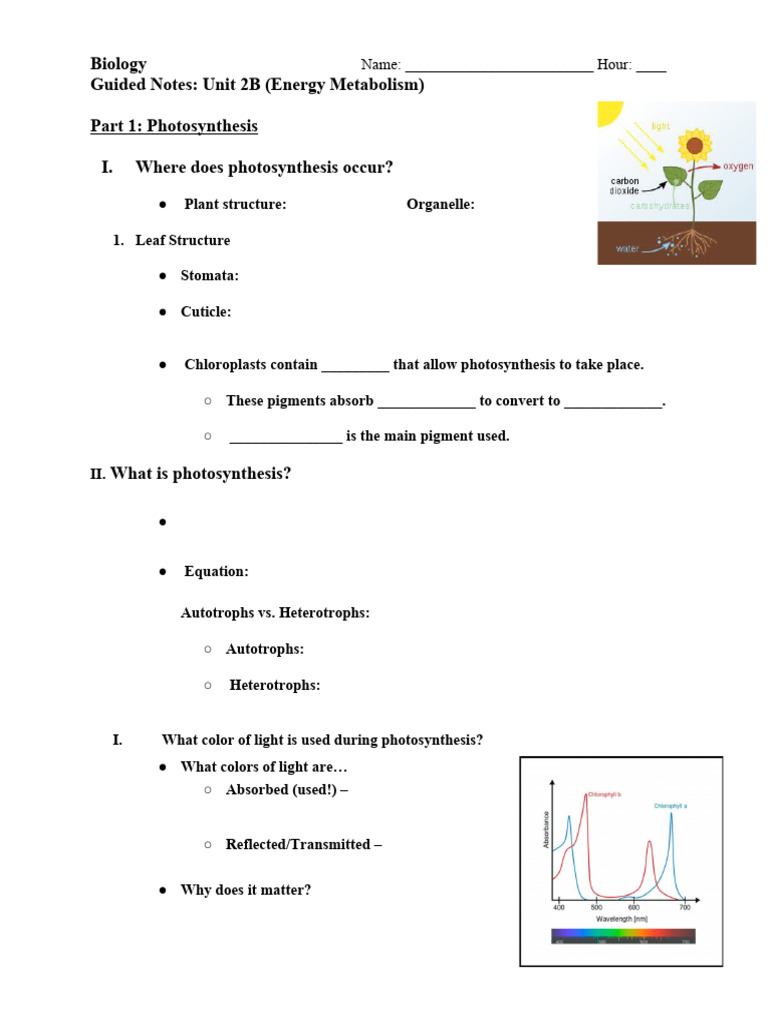 Unit 2B Guided Notes | PDF | Cellular Respiration | Photosynthesis