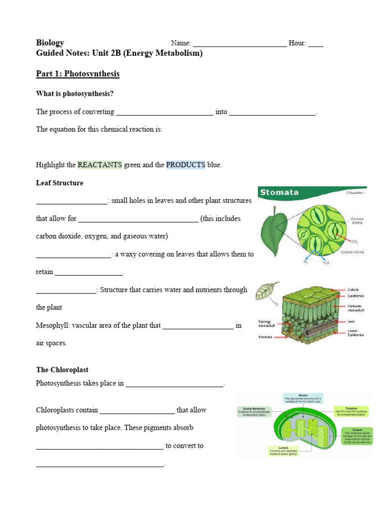 Unit 2B Guided Notes 2022 | Download Free PDF | Cellular Respiration ...