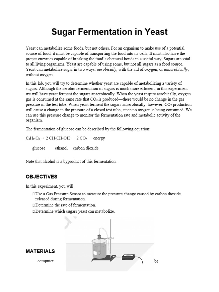 Sugar Fermentation in Yeast 23 | PDF | Fermentation | Carbon Dioxide