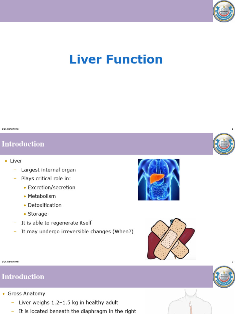Liver Function (1) | PDF | Alanine Transaminase | Liver