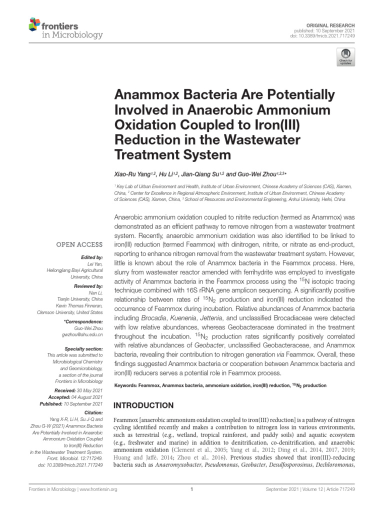 Anammox Bacteria Are Potentially Involved in Anaerobic Ammonium ...