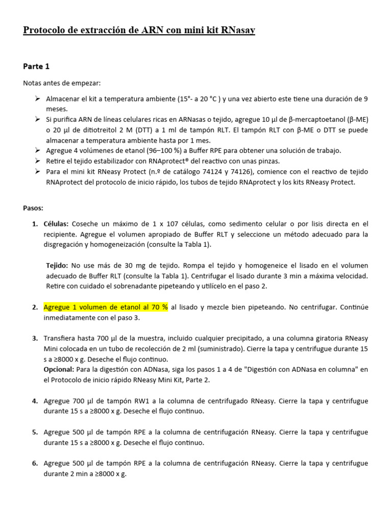 Protocolo de Extracción de ARN Con Mini Kit RNasay | PDF | Biología