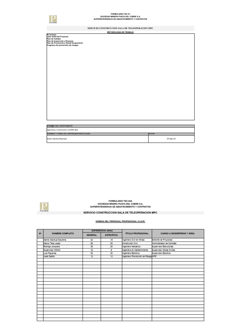 Formularios_TEC | PDF | Ingeniería