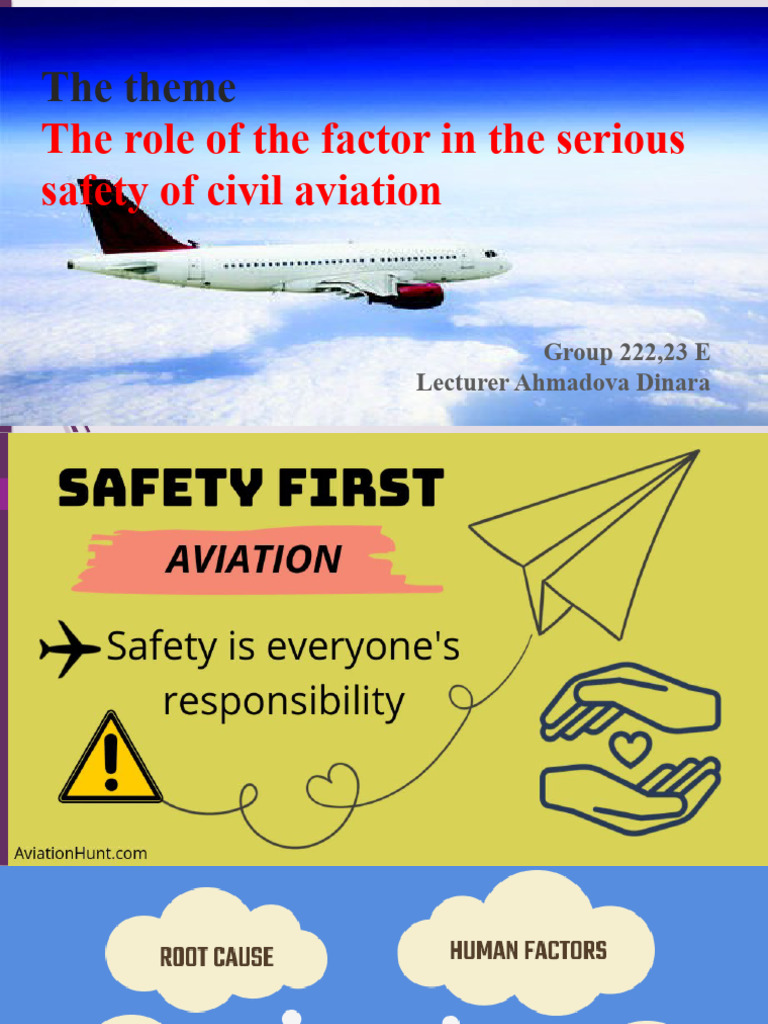 Human Factors in Aviation Safety | PDF | Perception | Human Factors And Ergonomics