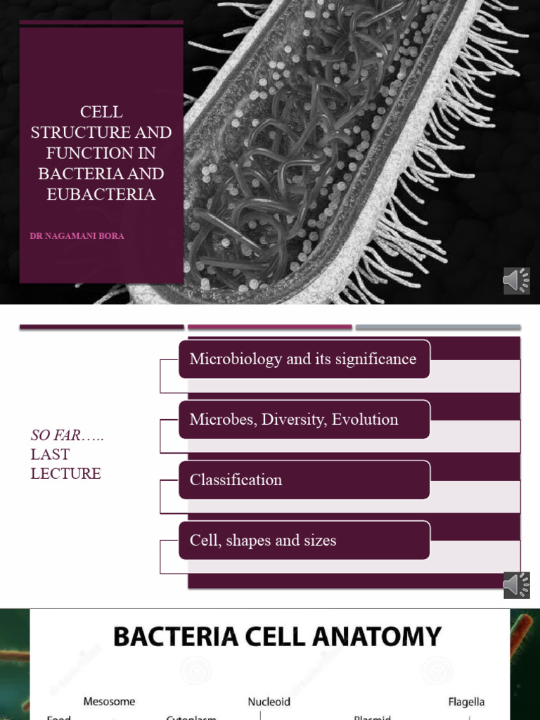 Bacterial Cell Structures - DR NBora - 19112018 | PDF | Bacteria | Cell ...
