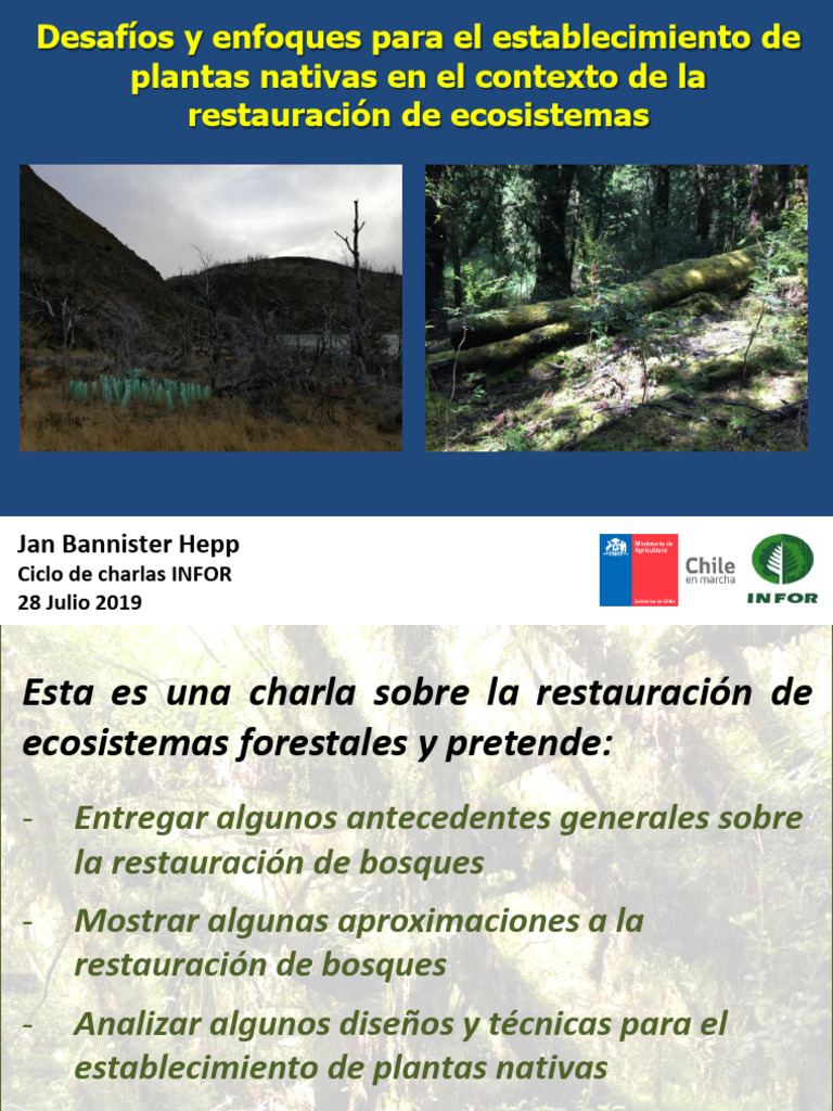 Restauracion Ecosistemas Forestales Nativos INFOR Jul.2020 J.bannister ...