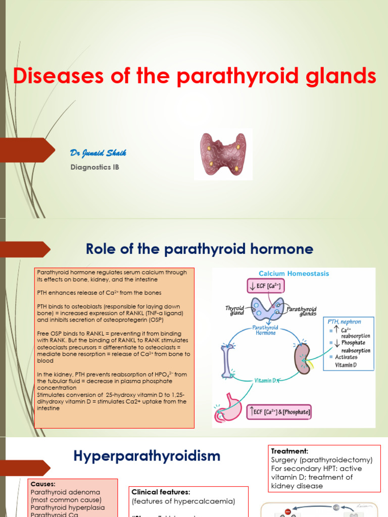 Diseases of The Parathyroid Glands | PDF | Medical Specialties ...