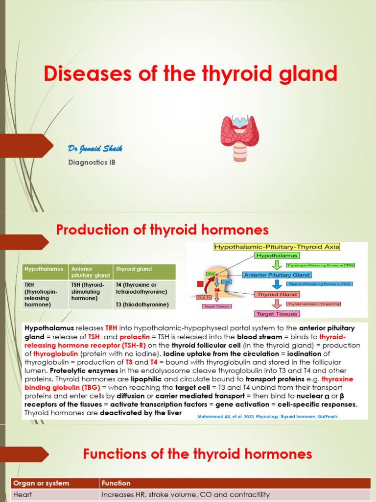 Diseases of The Thyroid Gland | PDF | Thyroid | Hypothyroidism
