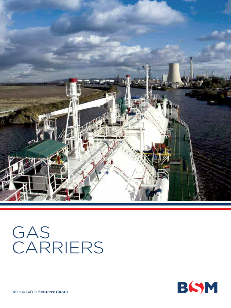 BSM One Pager Gas Web | PDF