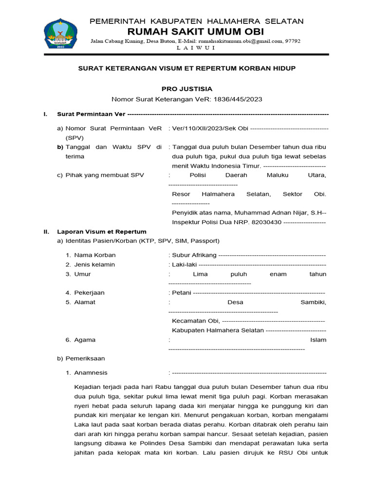 Format Visum New | PDF