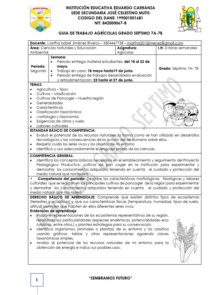 GRADO SEPTIMO AGRICOLAS II PERIODO | PDF | Agricultura | Fertilizante