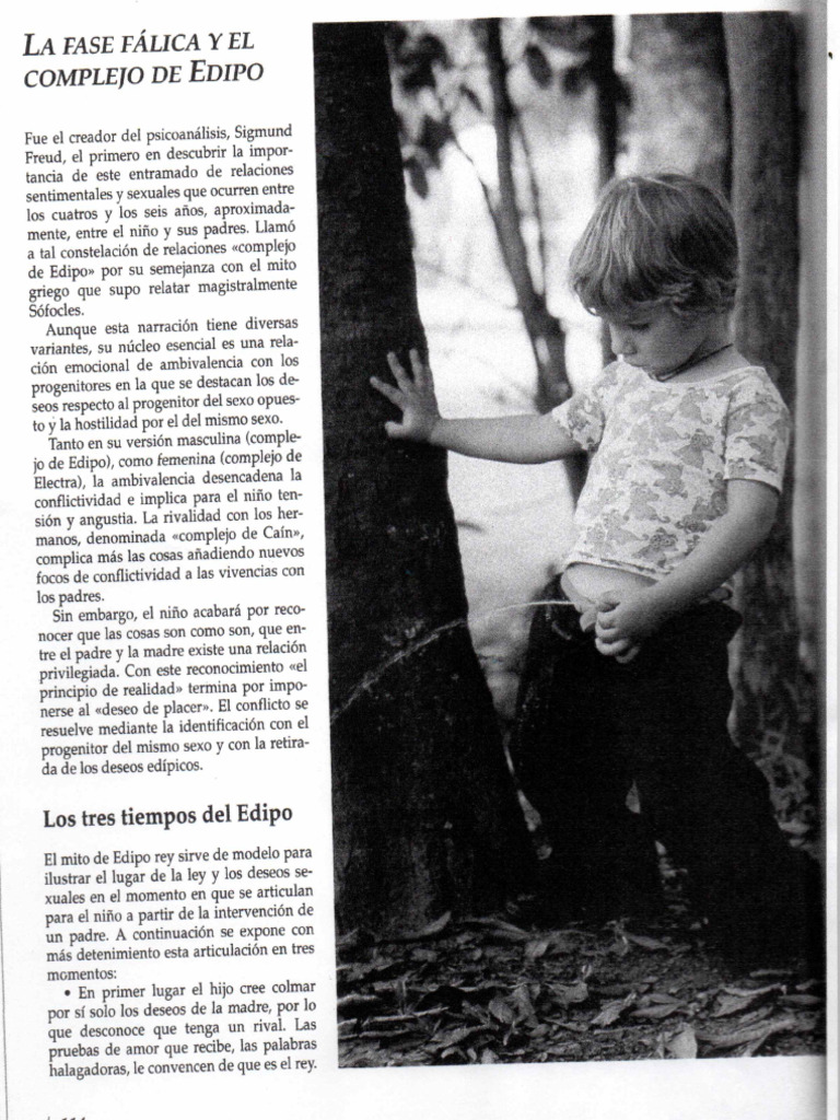 La Fase Falica y El Complejo de Edipo | PDF