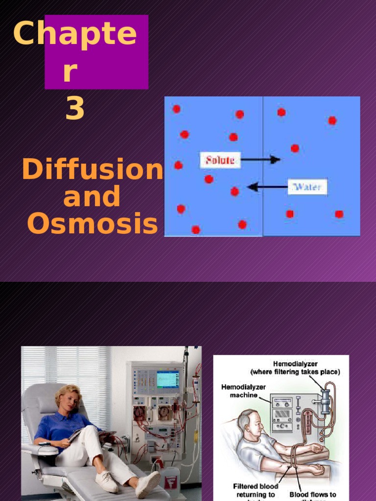 Chapter 3 - Diffusion & Osmosis | PDF | Osmosis | Diffusion