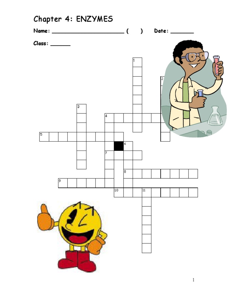 Enzymes: Crossword Puzzle Activity | PDF