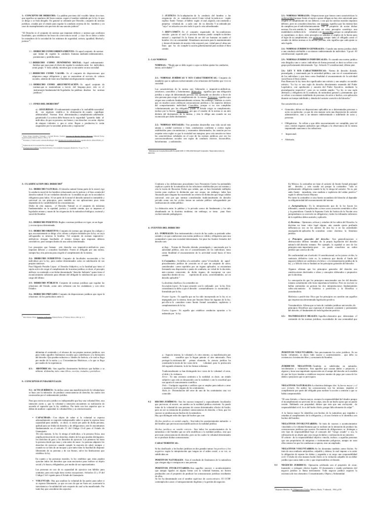 Conceptos Juridicos Fundamentales Magda Rosa Ma. Cano Melgoza | PDF ...