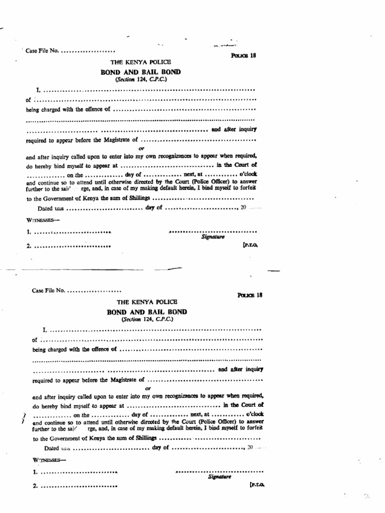 Bond An Bail Bond | PDF