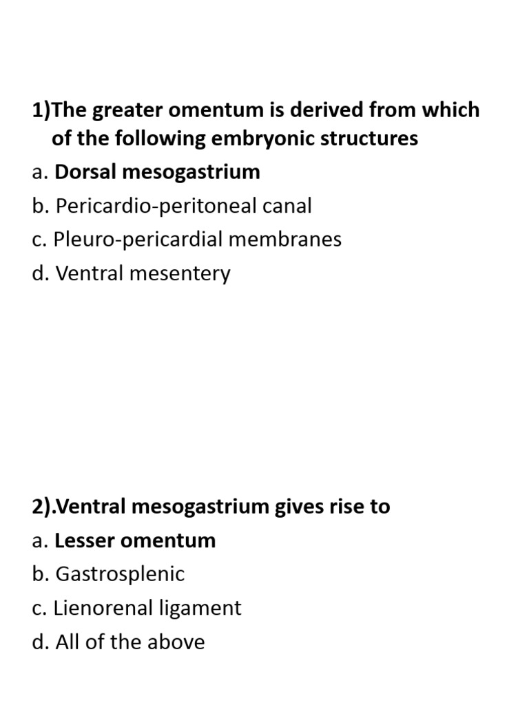 Anat T&D Que MIST I | PDF | Vein | Musculoskeletal System