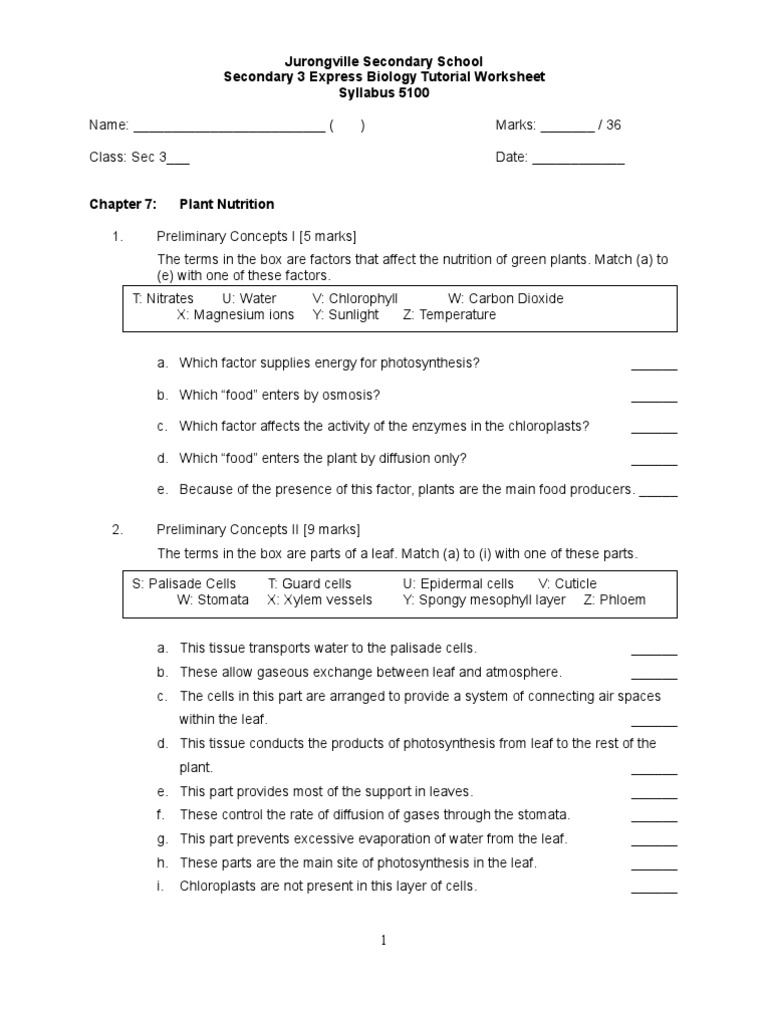 Chapter 7 Plant Nutrition - Worksheet | Download Free PDF | Stoma | Leaf