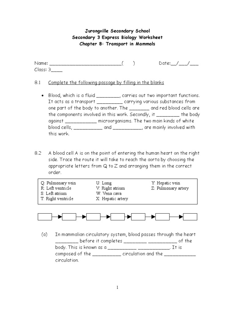 Chapter 8 Transport in Mammals - Worksheet | PDF | Circulatory System | Vein