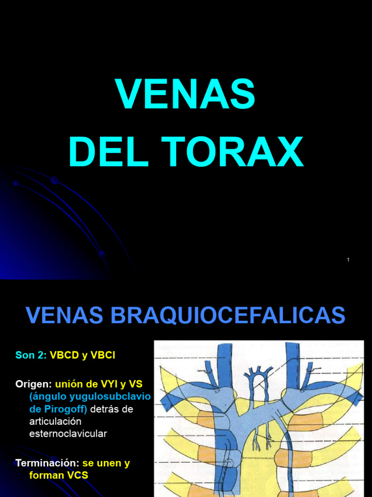 7 - Venas Del Torax, Acigos y Hemiacigos | PDF | Tórax | Anatomía