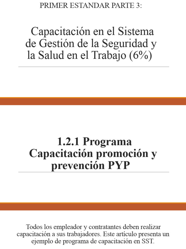 0 Implementacion SST Primer Estandar Parte 3 | PDF | Valores | Business