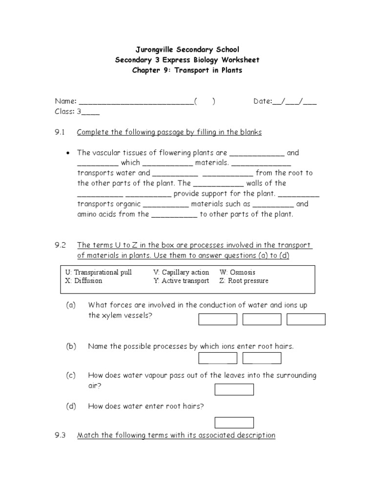 Chapter 9 Transport in Plants - Worksheet | PDF | Botany | Physiology