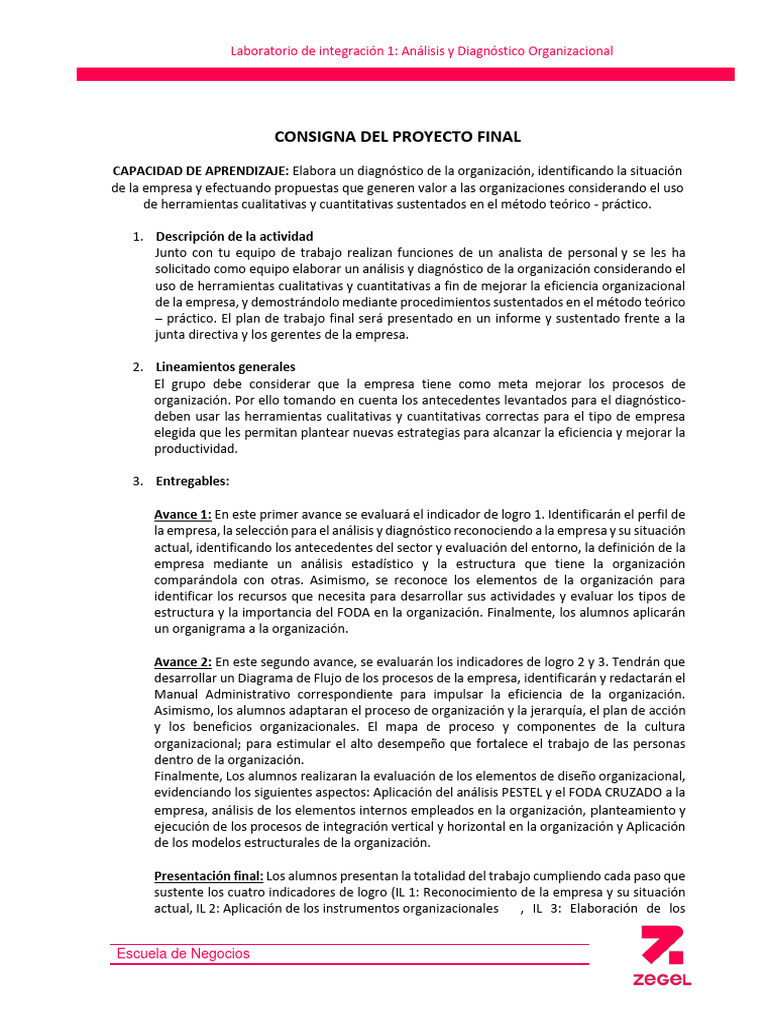 Consigna Proyecto Final | PDF | Business | Análisis FODA