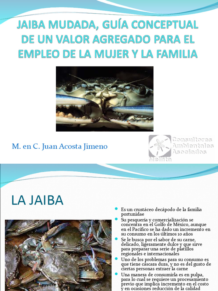 Jaiba Mudada, Guía Conceptual de Un Valor | PDF | Crustáceo | Reproducción