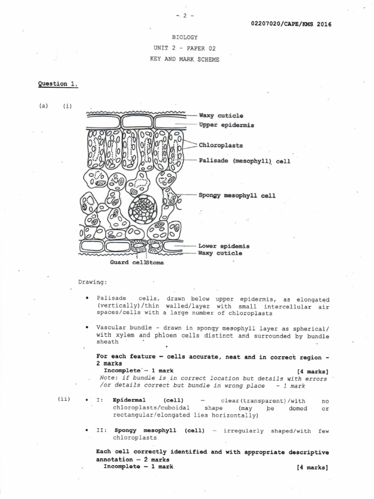 2016 Unit 2 - p2 | PDF