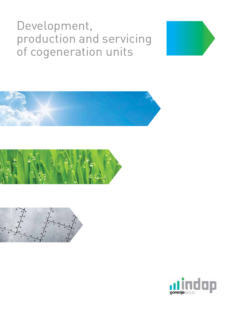 Cogeneration Units: INDOP Overview | PDF | Cogeneration | Fuels
