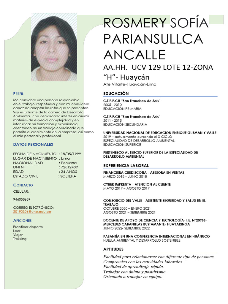 CV - Pariansullca Rosmery | PDF