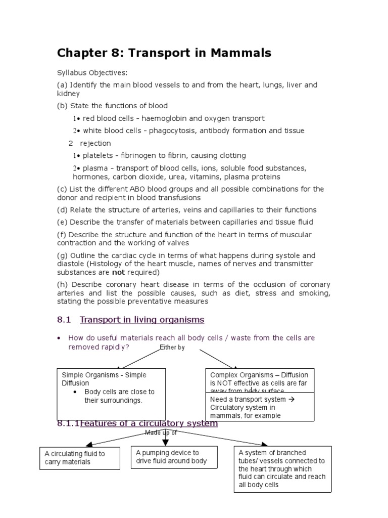 Chapter 8 Transport in Mammals - Lecture Notes | Download Free PDF ...
